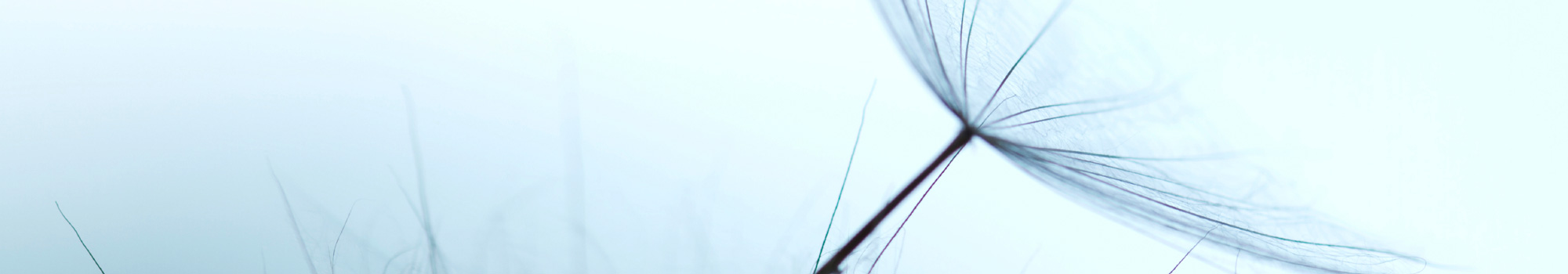 Reflexpad - Sleep Well